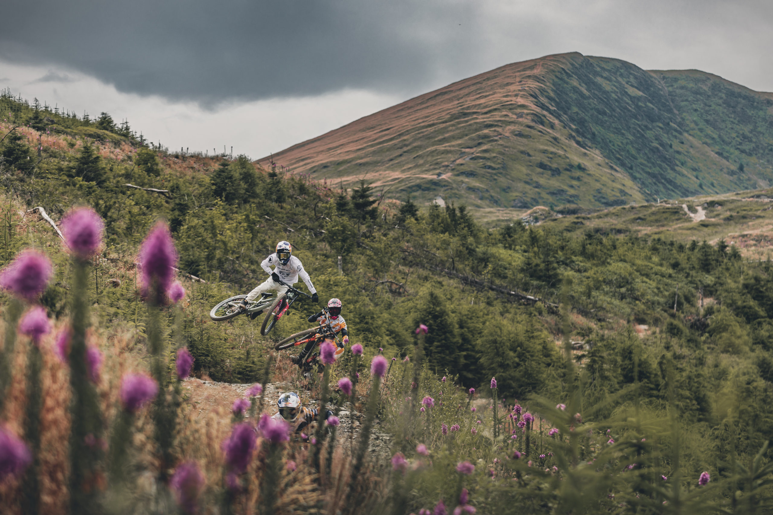 Race Track - Dyfi Bike Park